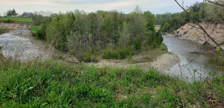 Trout Hollow Trail – NIAGARA ESCARPMENT HISTORY & HIKING