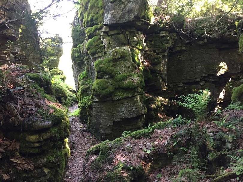 Woodford & Lord Sydenham – NIAGARA ESCARPMENT HISTORY & HIKING