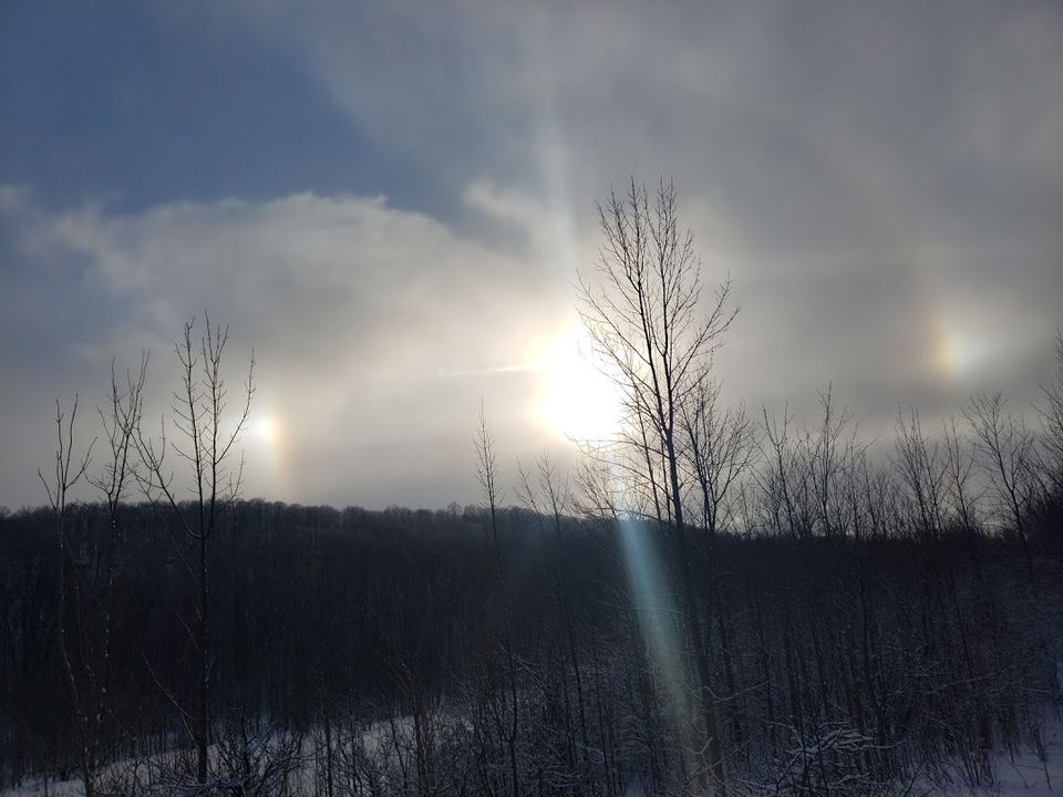 Loree Forest and the Whirling Rainbow Prophecy – NIAGARA ESCARPMENT ...