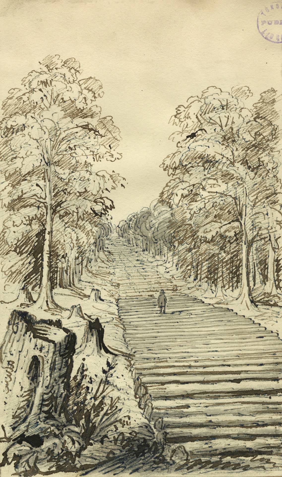 Corduroy Roads – NIAGARA ESCARPMENT HISTORY & HIKING