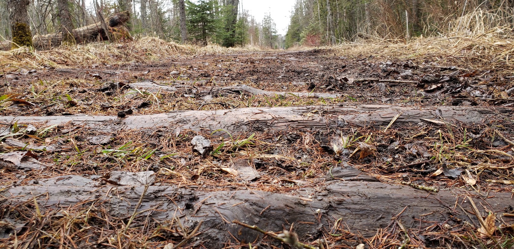 Corduroy Roads – NIAGARA ESCARPMENT HISTORY & HIKING
